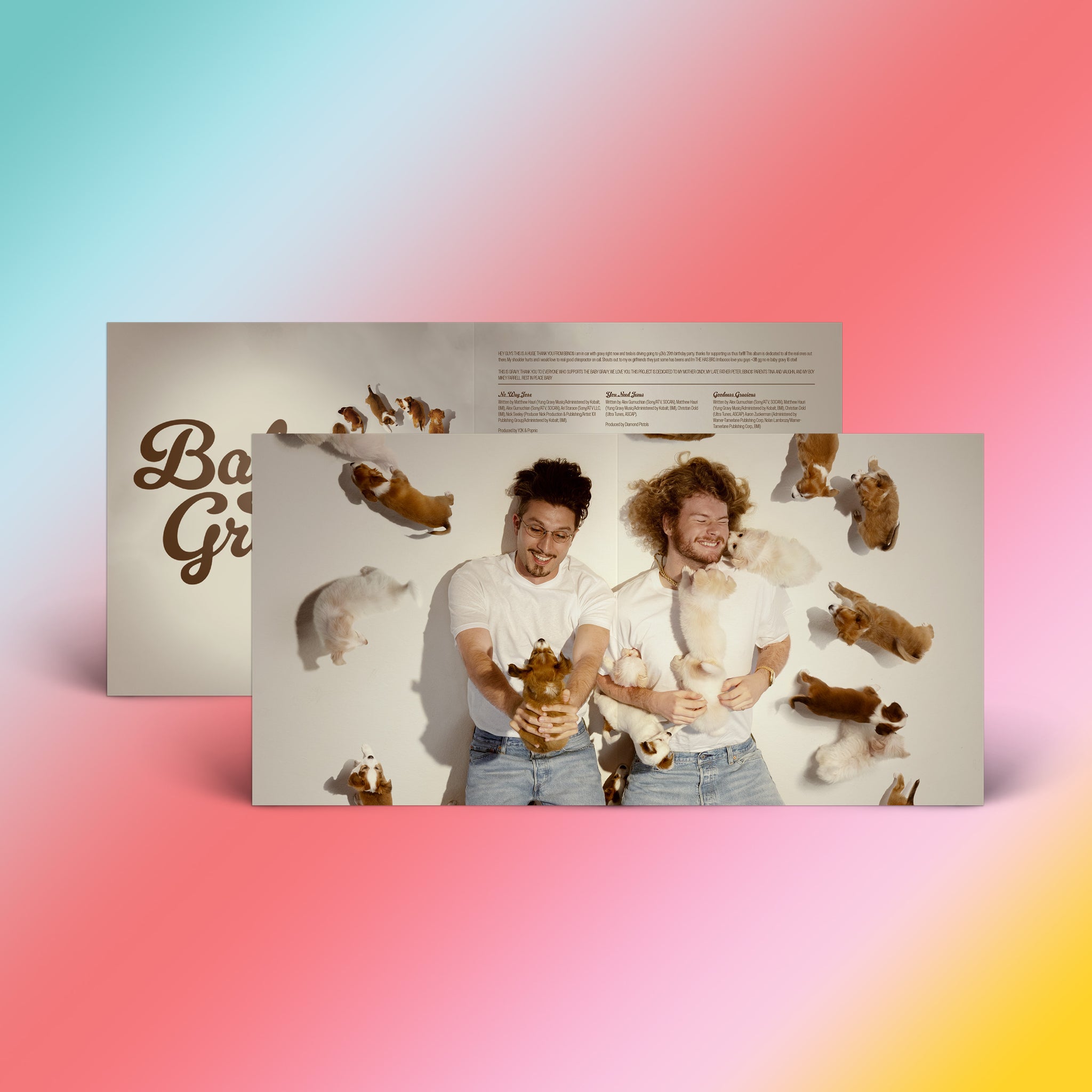 BG3 Limited Edition Vinyl (Merlot) – Baby Gravy 3